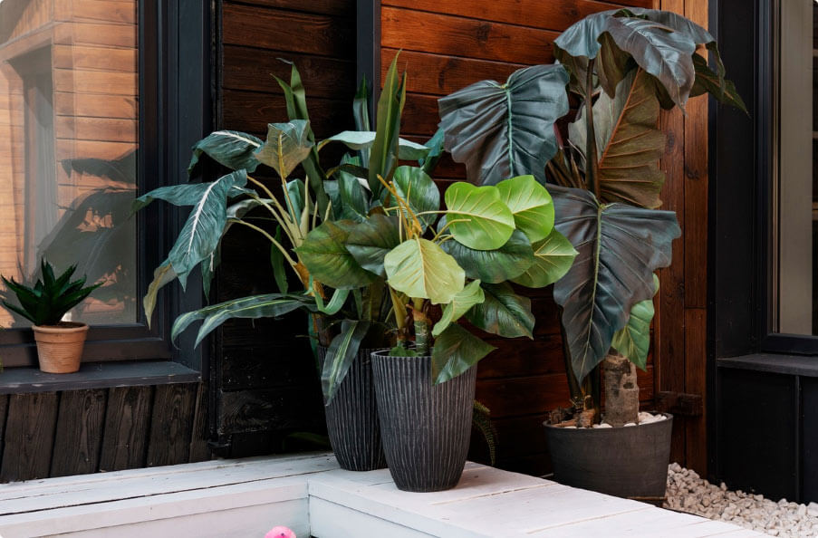 Blog Details || tecture || tecture PHP Template